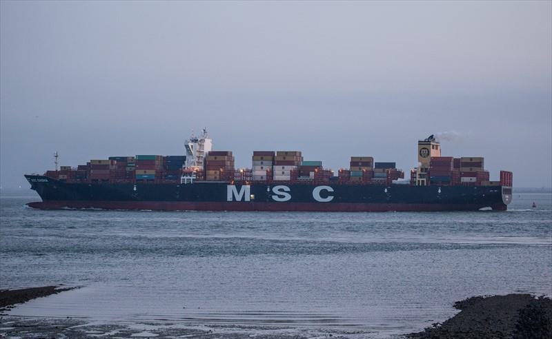MSC SASHA - Vesseljoin
