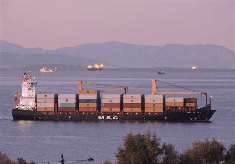 MSC TALIA F - Vesseljoin