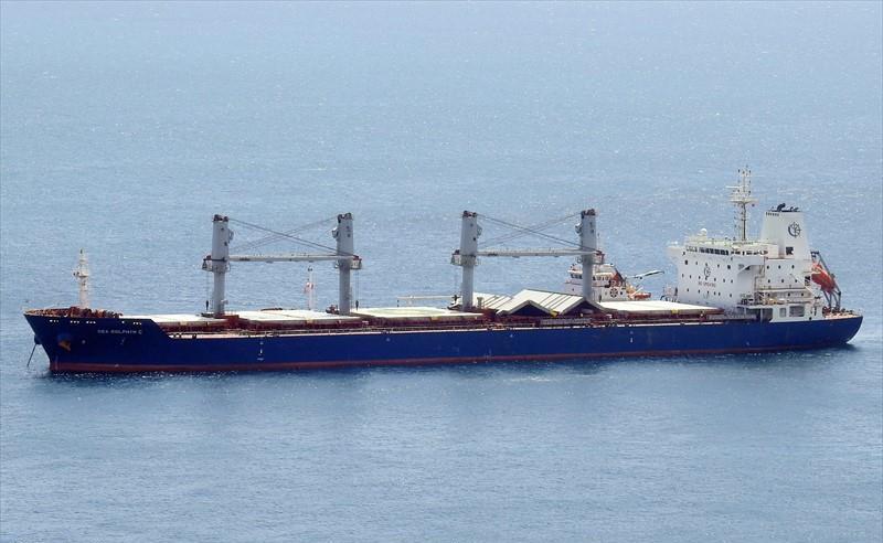 SEA DOLPHIN C - Vesseljoin