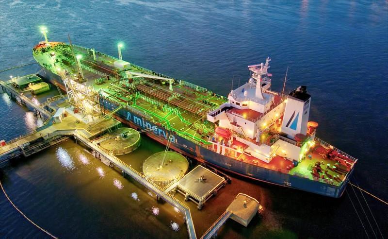 MINERVA MEDITERRANEA - Vesseljoin