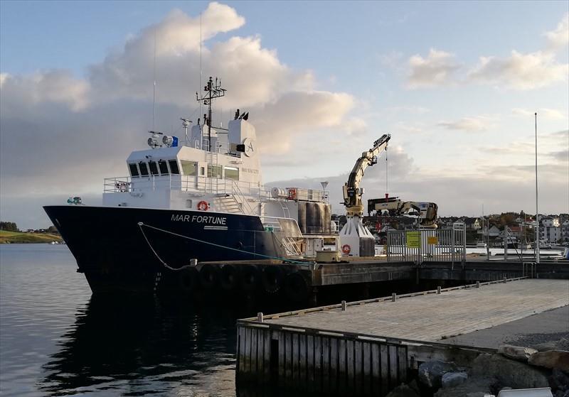 MAR FORTUNE - Vesseljoin