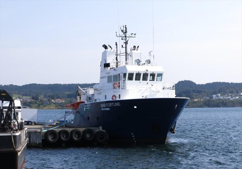 MAR FORTUNE - Vesseljoin