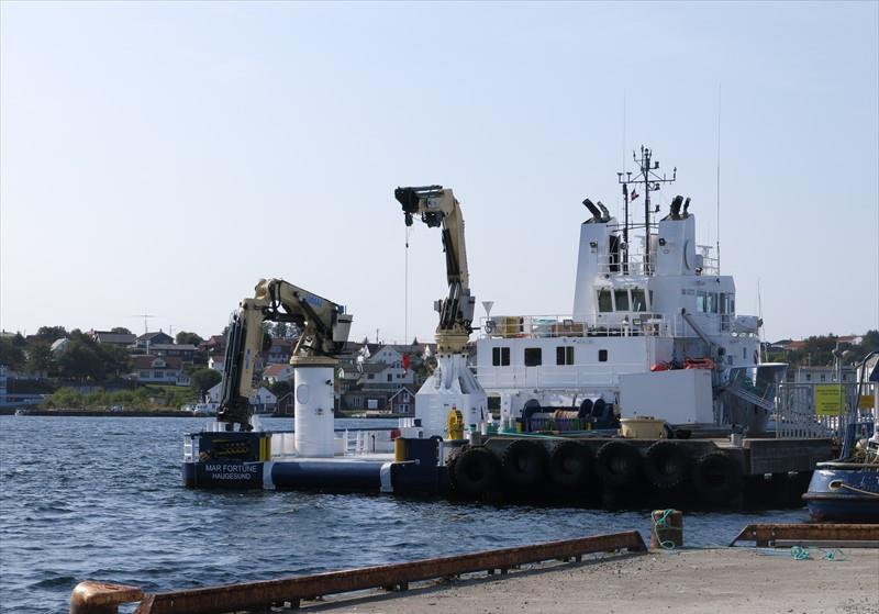 MAR FORTUNE - Vesseljoin