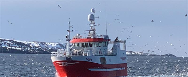 SARA KARIN - Vesseljoin