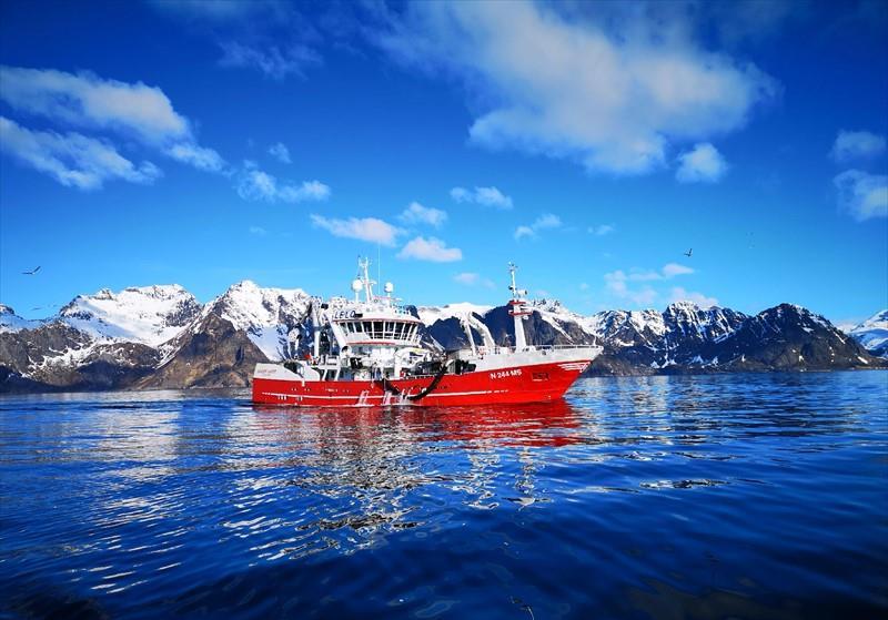 SANDER ANDRE - Vesseljoin