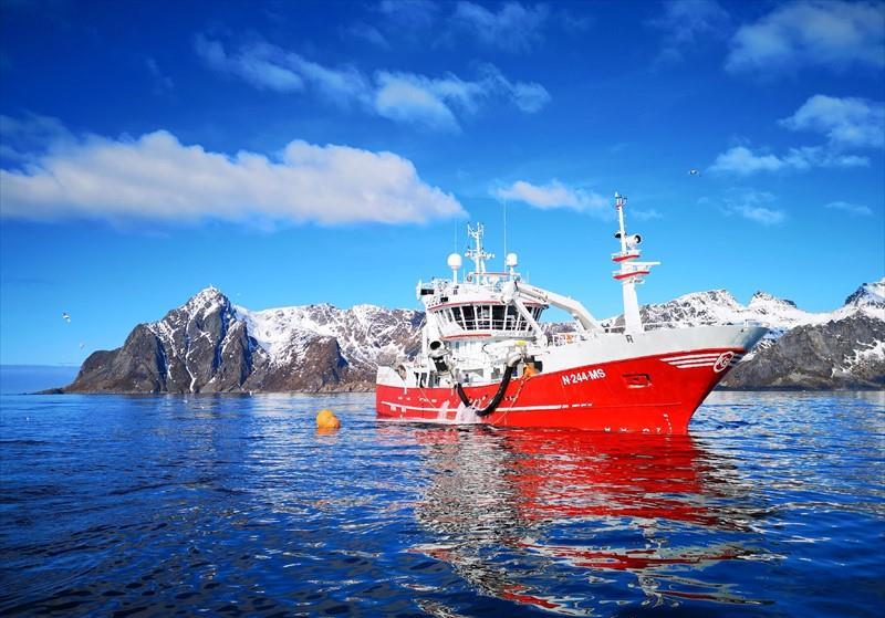 SANDER ANDRE - Vesseljoin