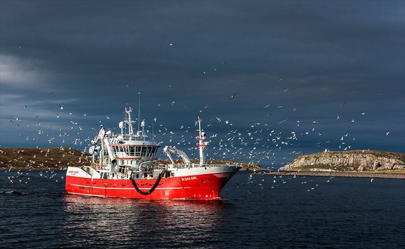 SANDER ANDRE - Vesseljoin