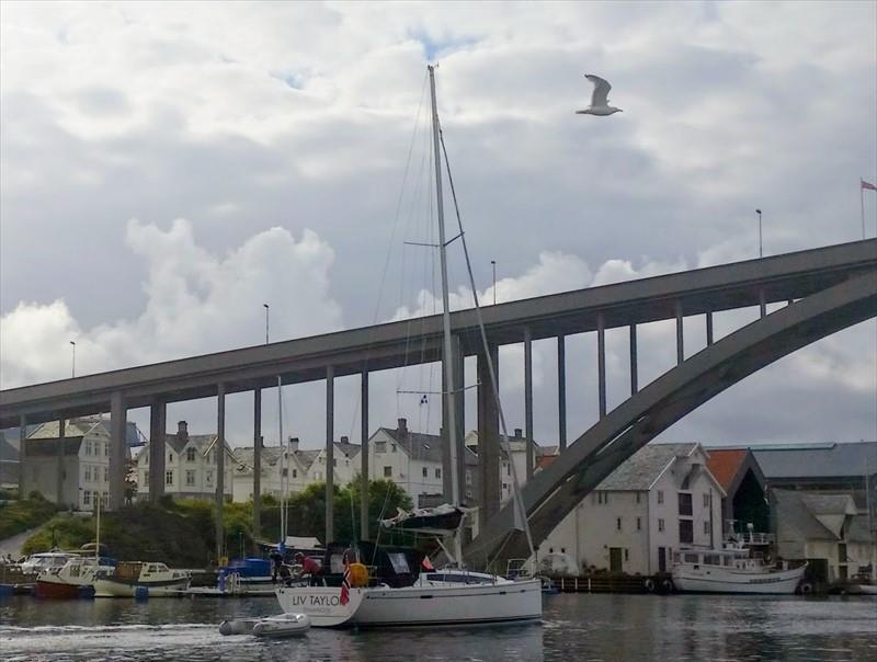 LIV TAYLOR - Vesseljoin