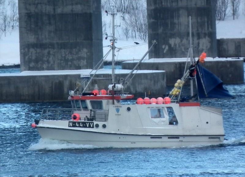 BORFJELL - Vesseljoin