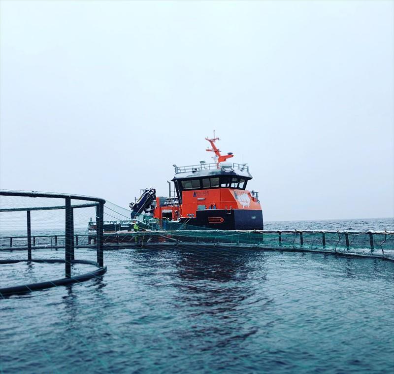 ARCTIC DIVE - Vesseljoin