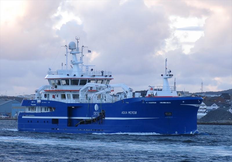 AQUA MERDO - Vesseljoin