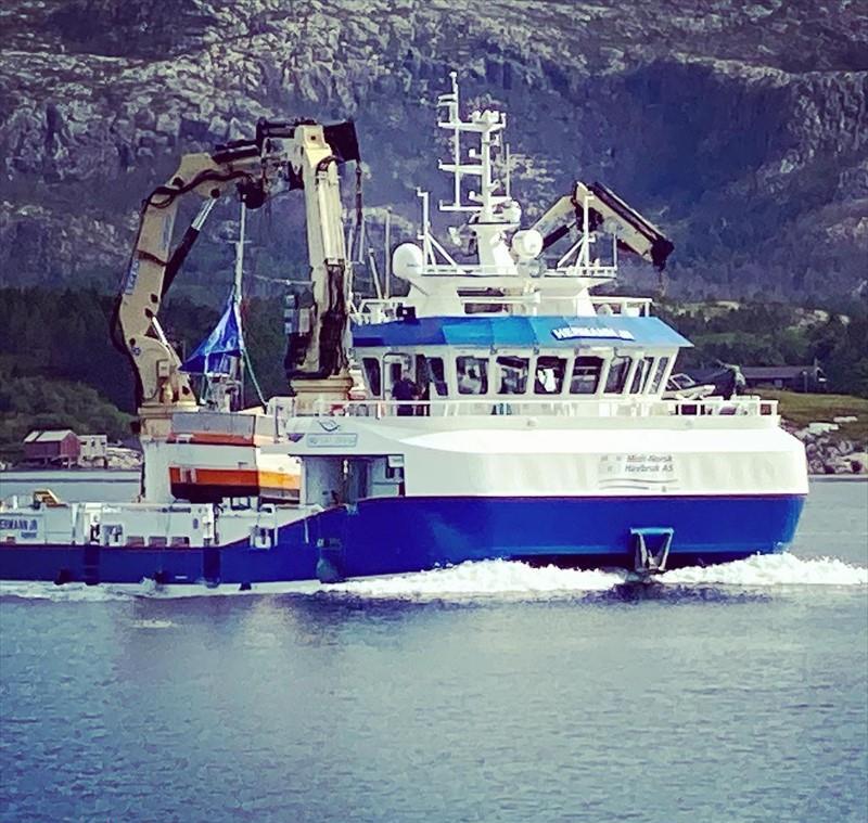 HERMANN JR - Vesseljoin