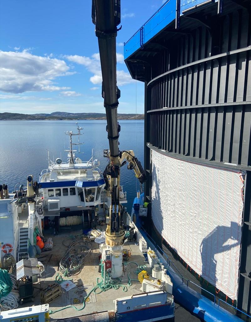 HERMANN JR - Vesseljoin