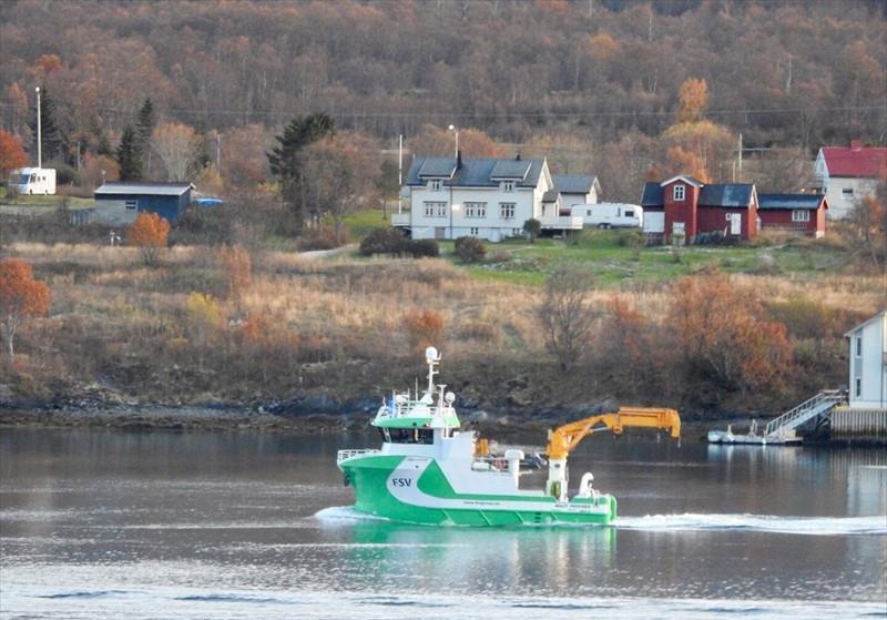 MULTI PROVIDER - Vesseljoin