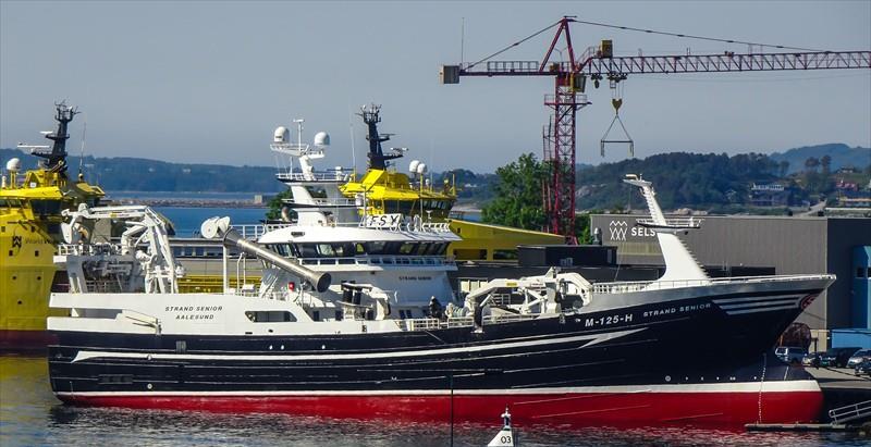 STRAND SENIOR - Vesseljoin