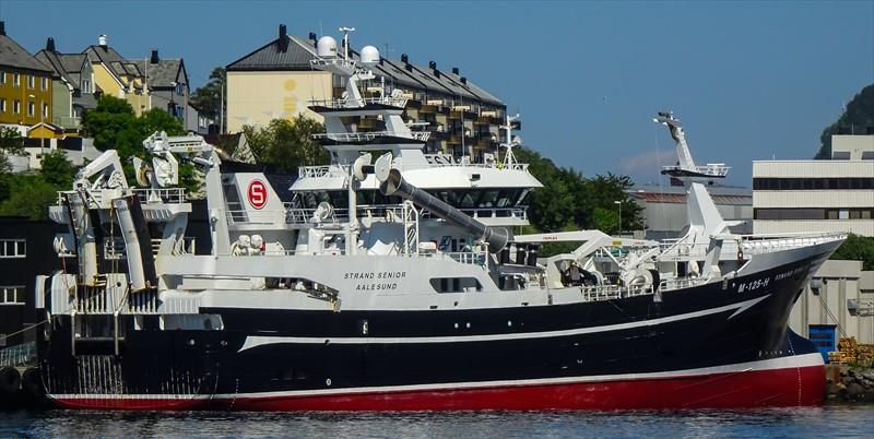 STRAND SENIOR - Vesseljoin