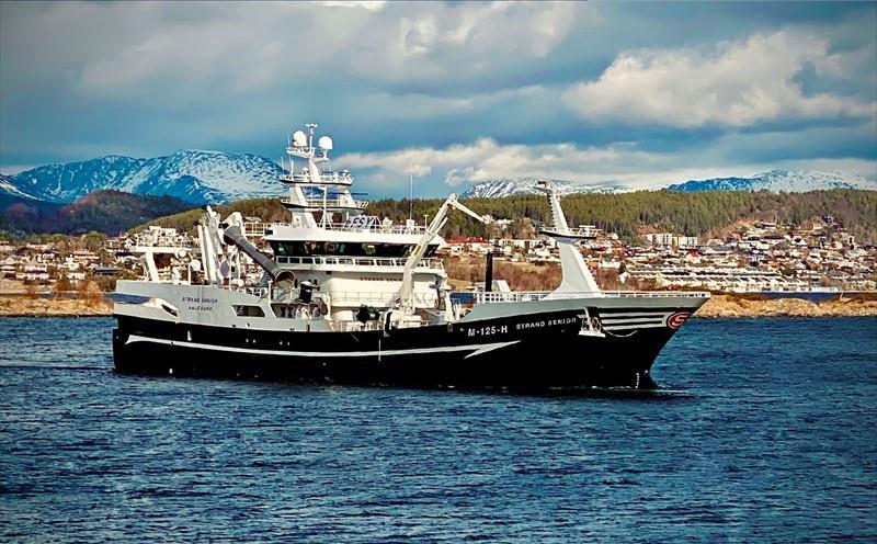 STRAND SENIOR - Vesseljoin