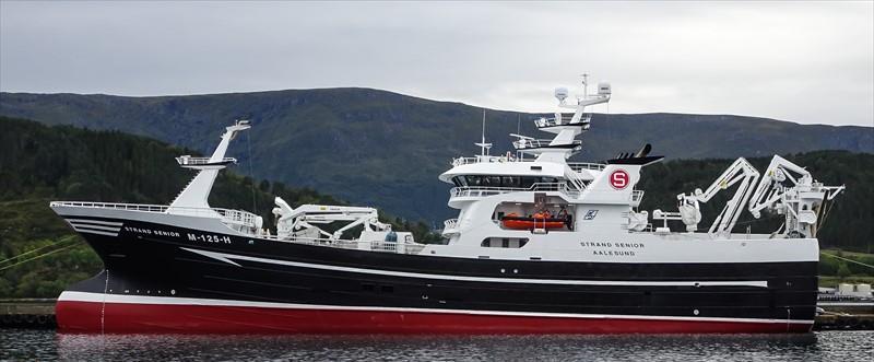 STRAND SENIOR - Vesseljoin