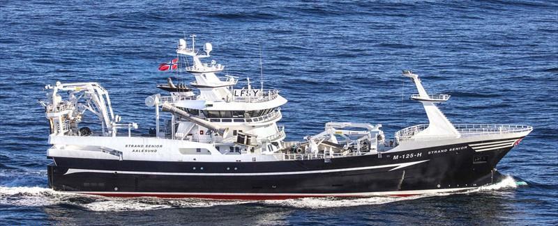 STRAND SENIOR - Vesseljoin