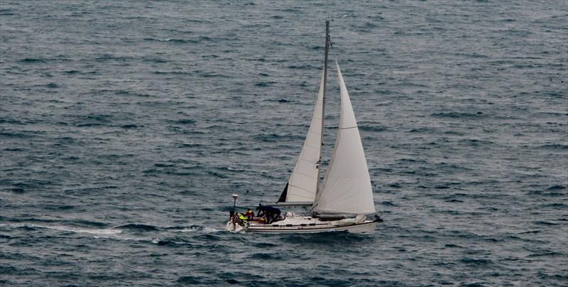 ARCTIC SURF BUMS - Vesseljoin