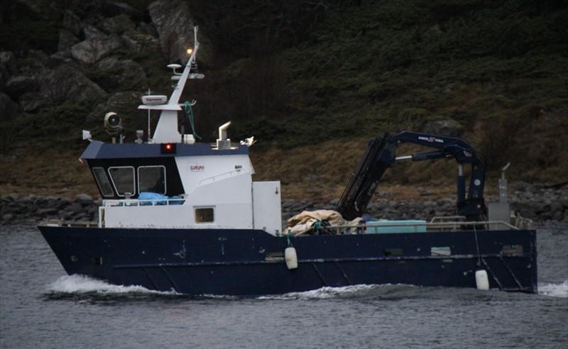 OLE MARTIN - Vesseljoin