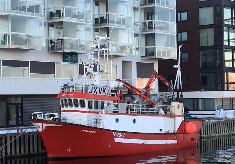 DENTAX SENIOR - Vesseljoin