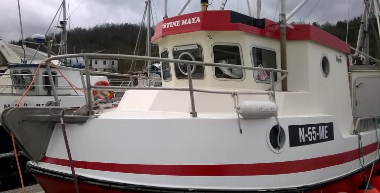 STINE MAYA - Vesseljoin