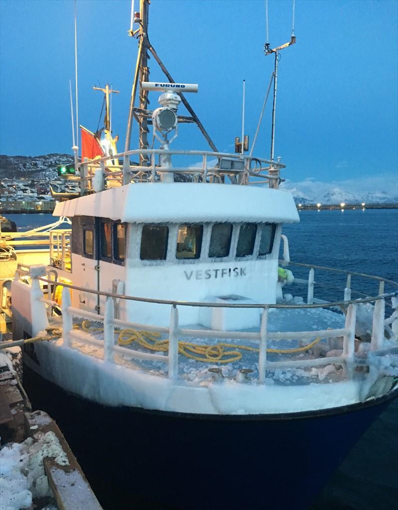 VESTFISK - Vesseljoin