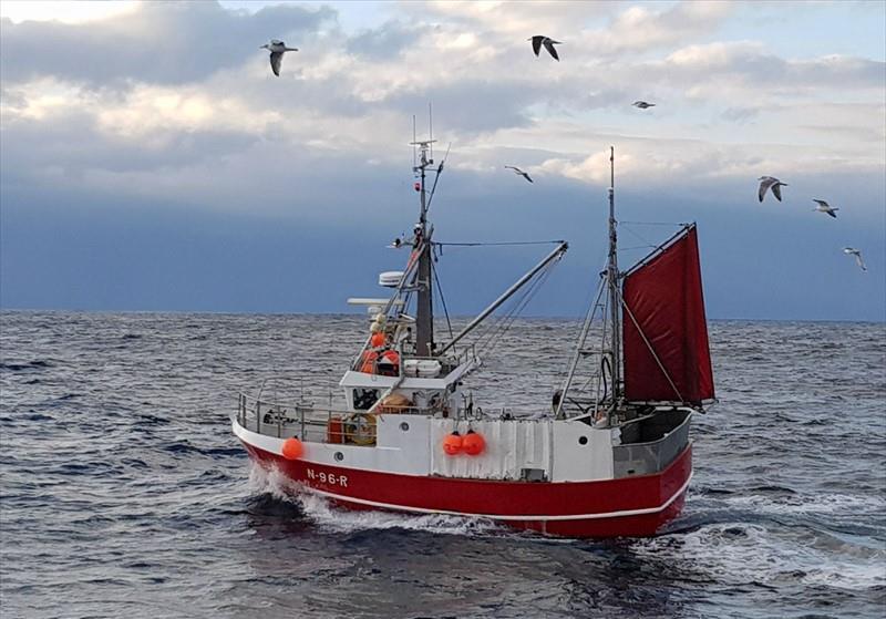 STEN TORE - Vesseljoin