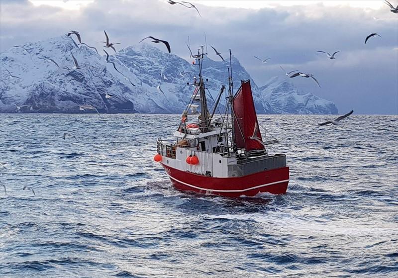 STEN TORE - Vesseljoin