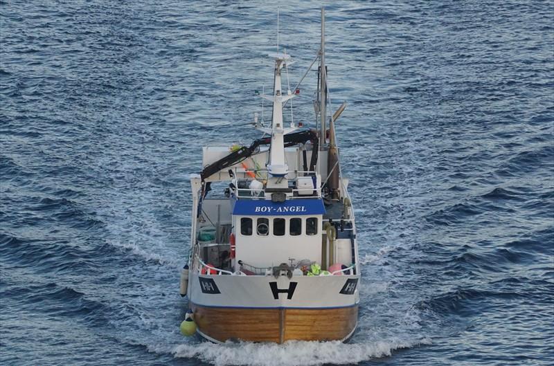 BOY ANGEL - Vesseljoin