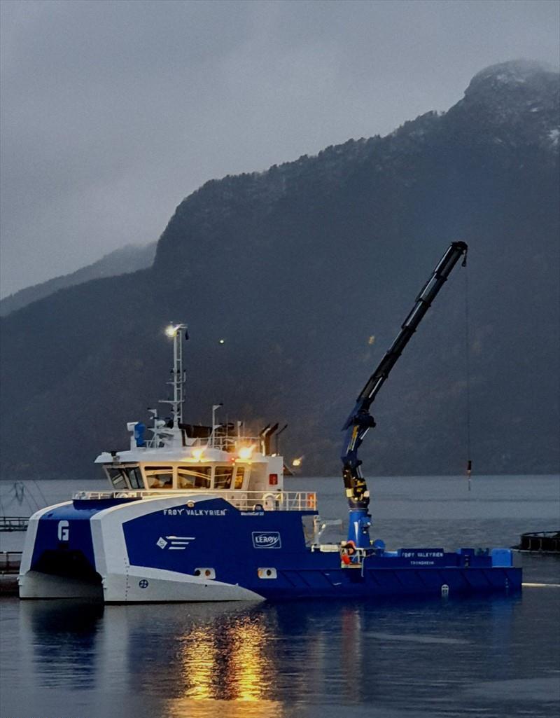 FROY VALKYRIEN - Vesseljoin