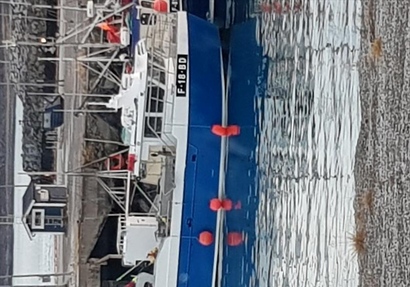 JOHN MARTIN - Vesseljoin