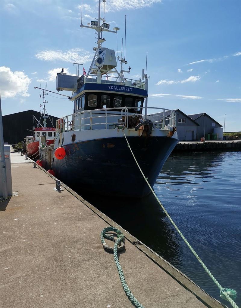 SKALLDYRET - Vesseljoin