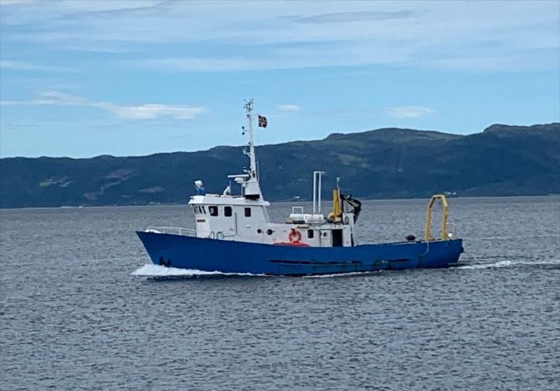 HARRY BORTHEN - Vesseljoin