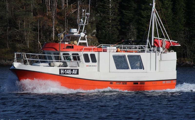 EMMA OLAVA - Vesseljoin