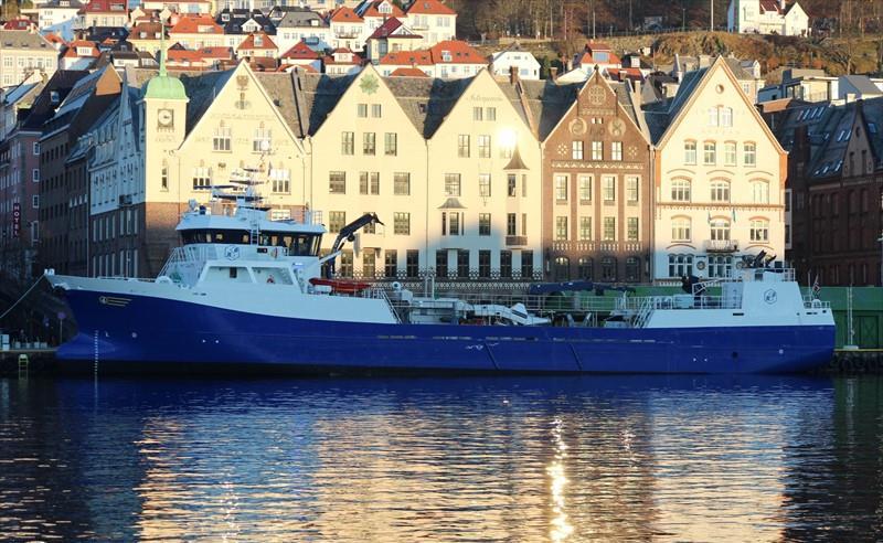 ROSTEIN - Vesseljoin