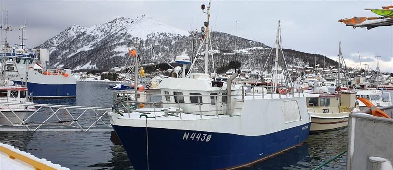 SPUTNIK - Vesseljoin