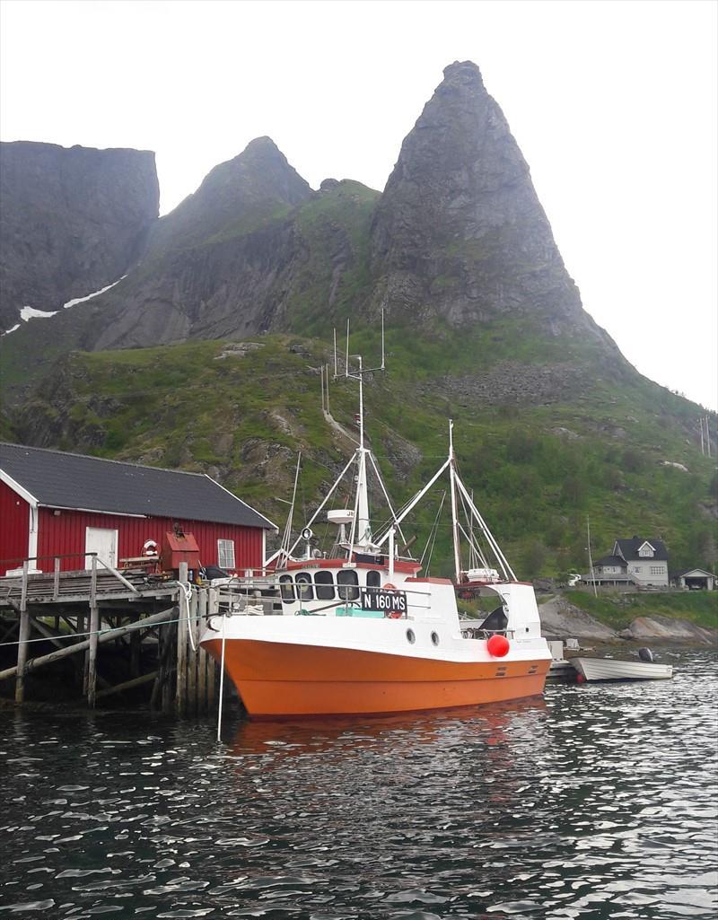 VESTHOLM - Vesseljoin