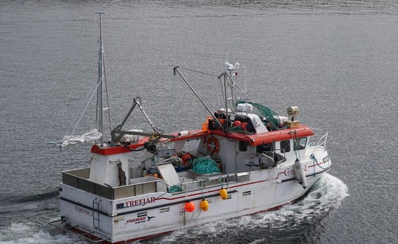 VERONICA - Vesseljoin