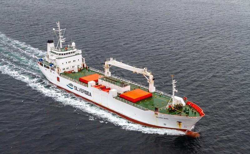 SILVER BIRD - Vesseljoin