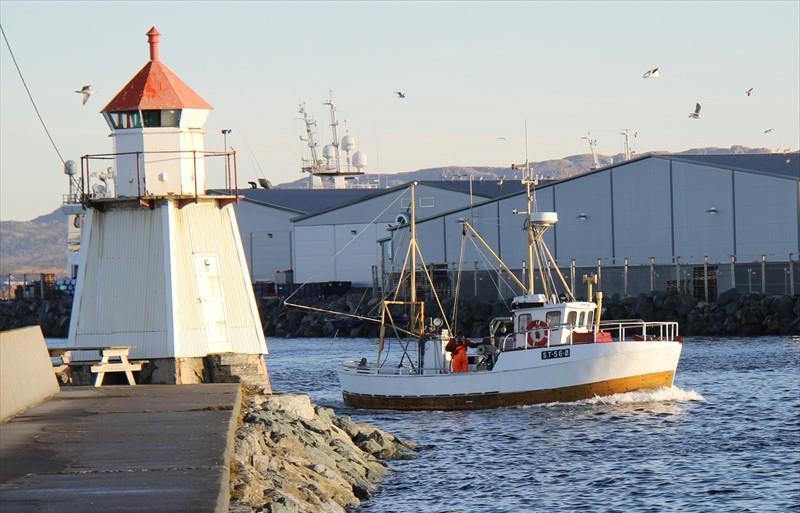 RAGNA ELIN - Vesseljoin