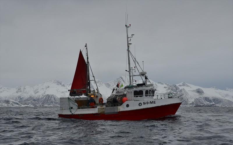 JULIE M - Vesseljoin