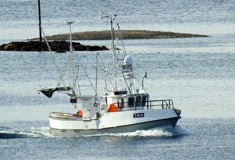 VERA MARIA - Vesseljoin