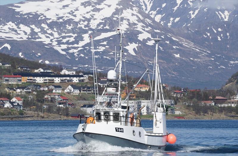 VERA MARIA - Vesseljoin