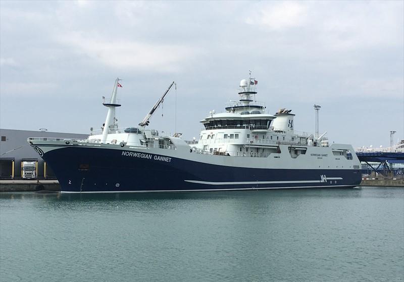 NORWEGIAN GANNET - Vesseljoin