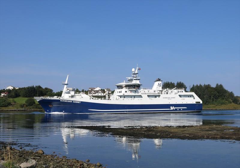NORWEGIAN GANNET - Vesseljoin