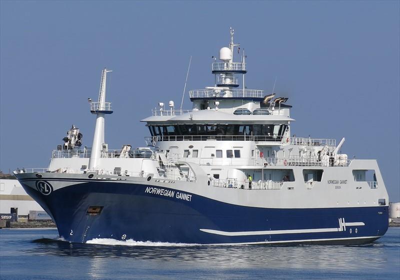 NORWEGIAN GANNET - Vesseljoin