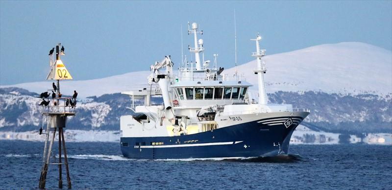 HOVDEN VIKING - Vesseljoin