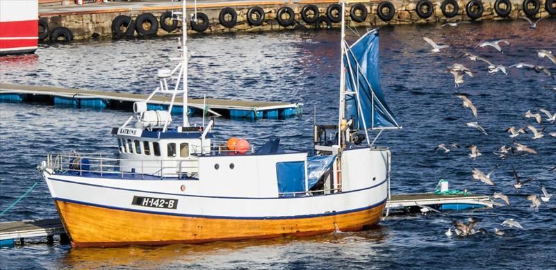 KATRINE - Vesseljoin